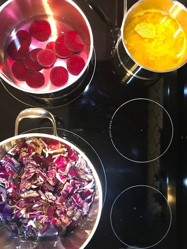 Natural Dyes Experiment - The Sylvia Center