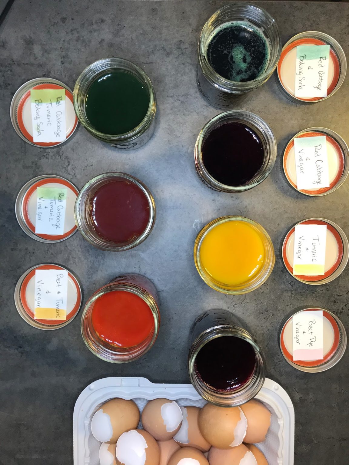 Natural Dyes Experiment - The Sylvia Center