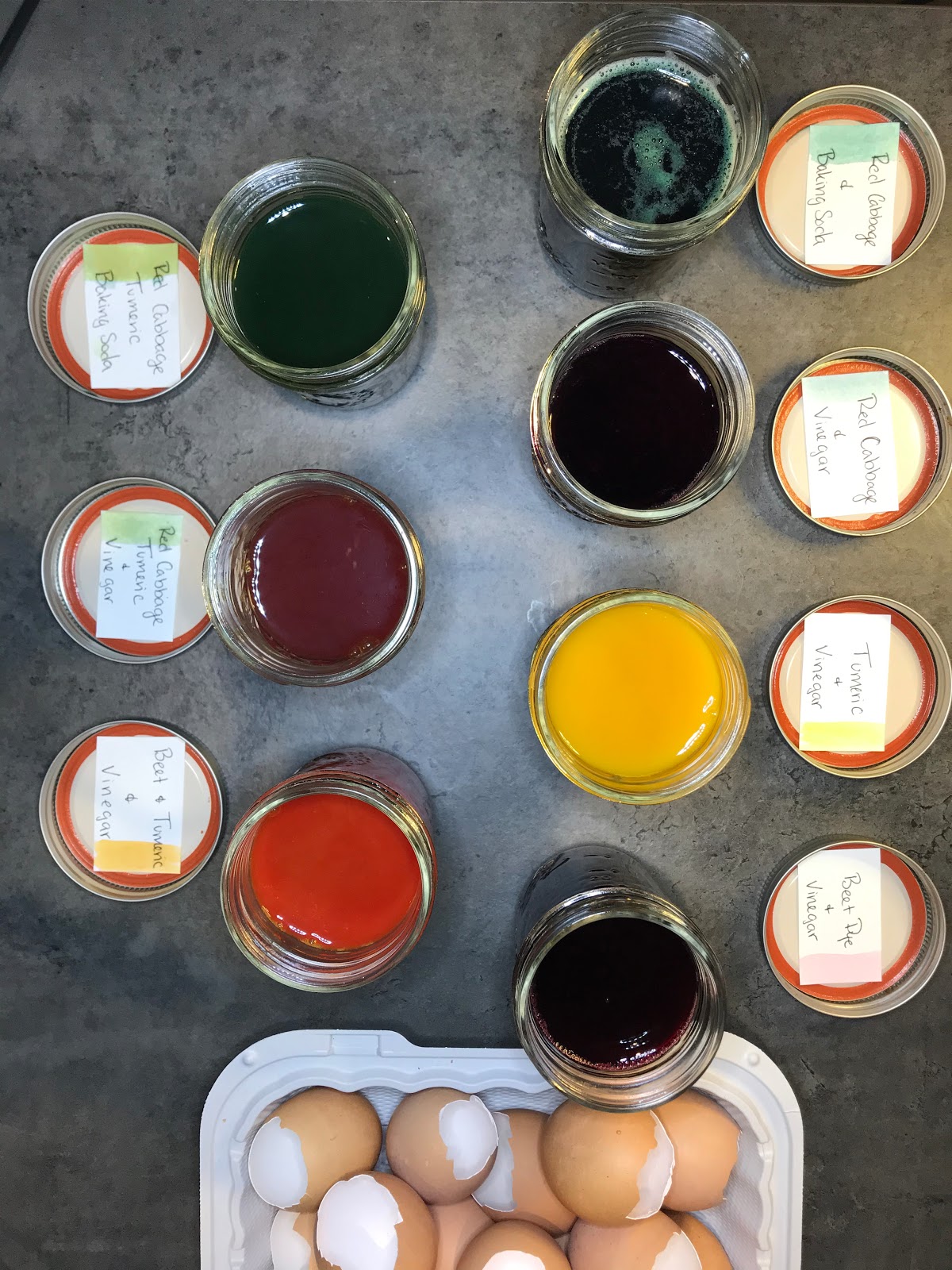 Natural Dyes Experiment - The Sylvia Center